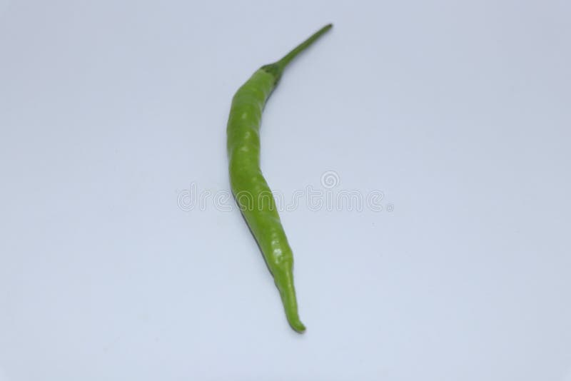 Single Pieces of Green Chilli Stock Photo - Image of isolated, food ...