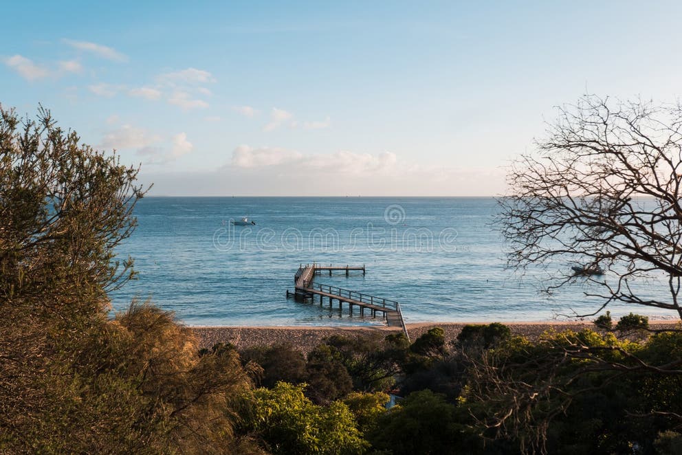 One Pier in the beach stock image. Image of summer, pier - 118915799