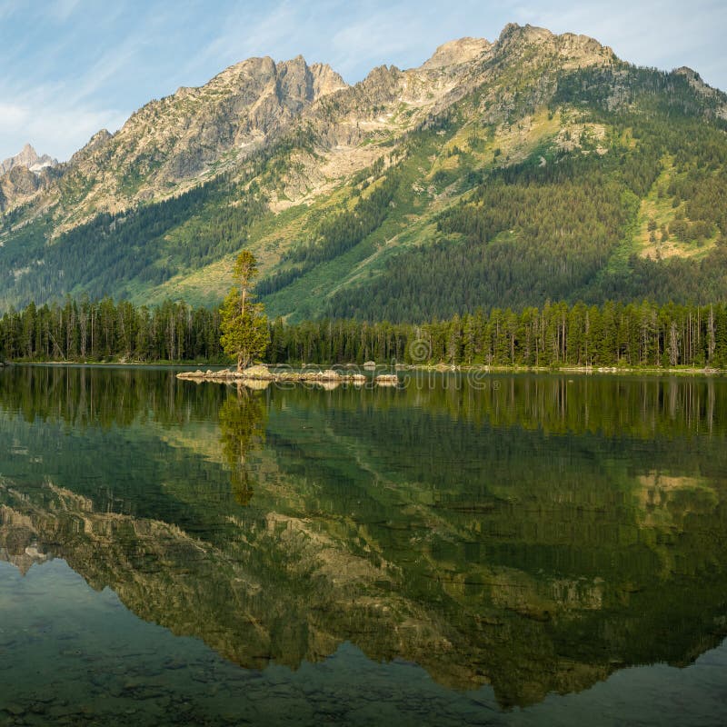 Single Pine Tree on Tiny Island in Leigh Lake Stock Image - Image of ...