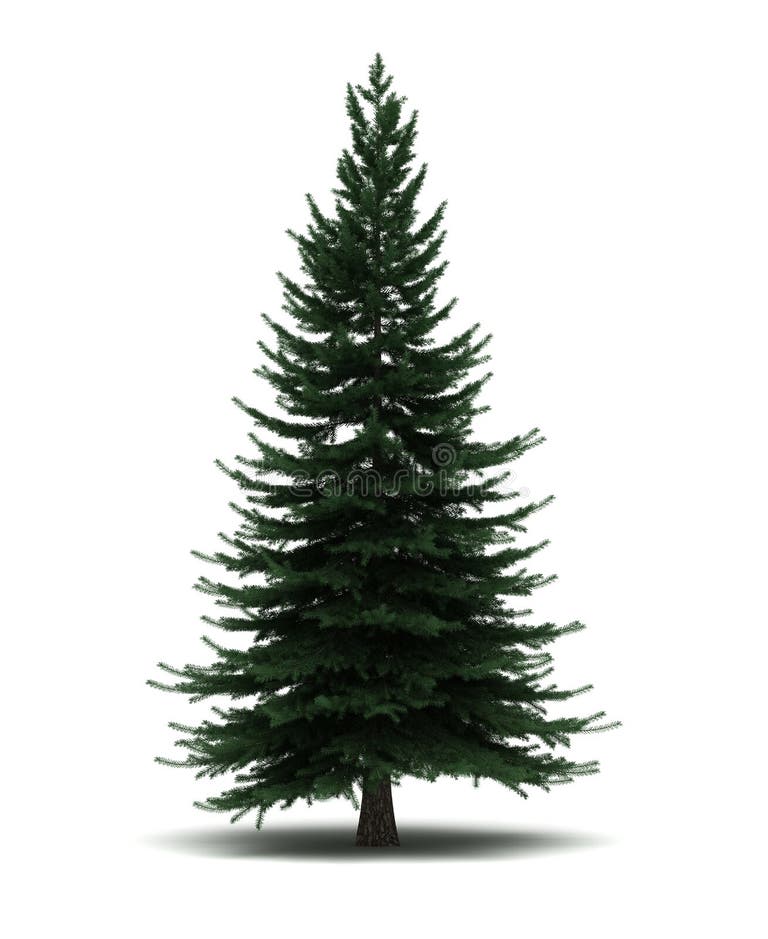 470+ Pine single tree Free Stock Photos - StockFreeImages