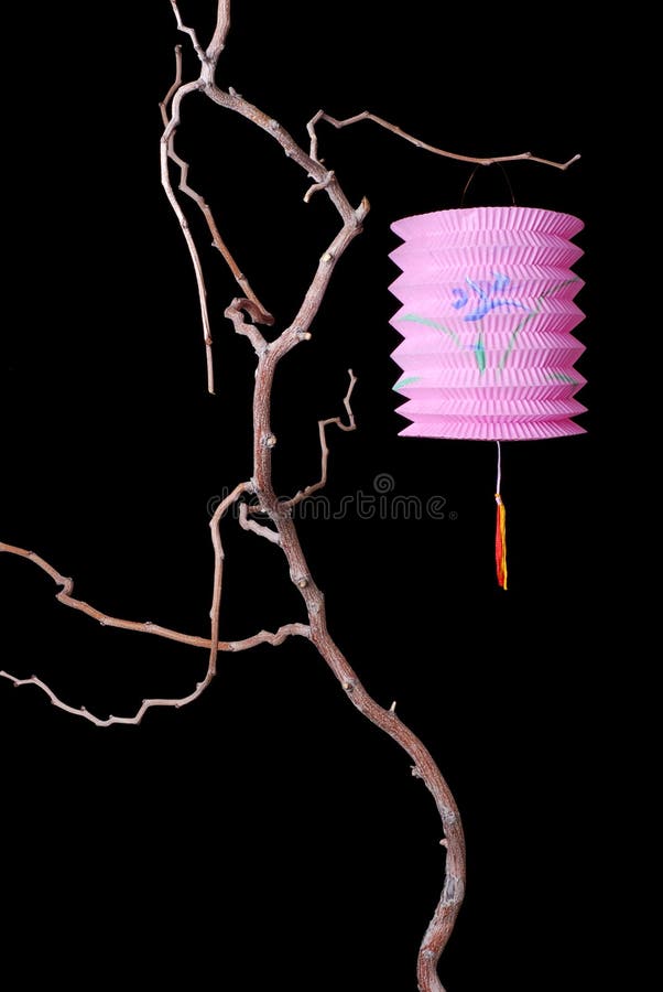 Single Pink Lantern stock image. Image of celebration - 4122811