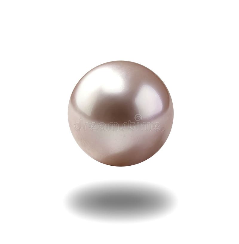 Single Pink Pearl Isolated on White Background Stock Illustration ...