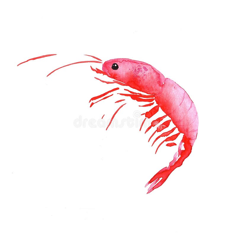 Pink Shrimp Cartoon Stock Photos - Free & Royalty-Free Stock Photos ...