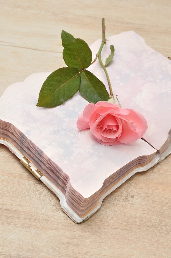 Single Pink Rose in an Open Notebook Stock Image - Image of love, pink ...