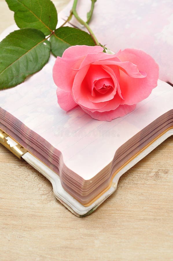 Single Pink Rose in an Open Notebook Stock Photo - Image of single ...
