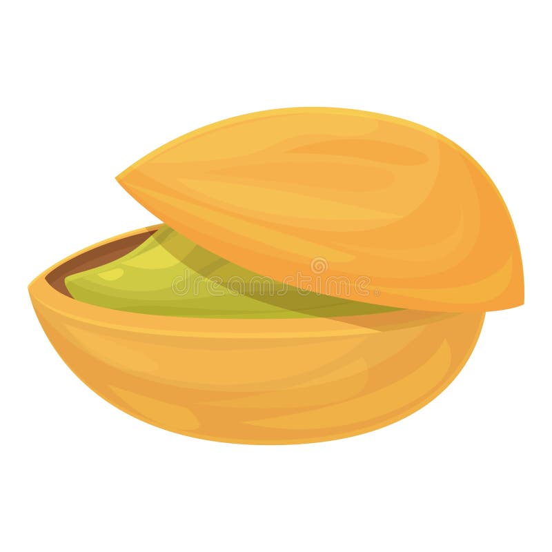 Single Pistachio Nut with Open Shell Showing Seed Stock Vector ...
