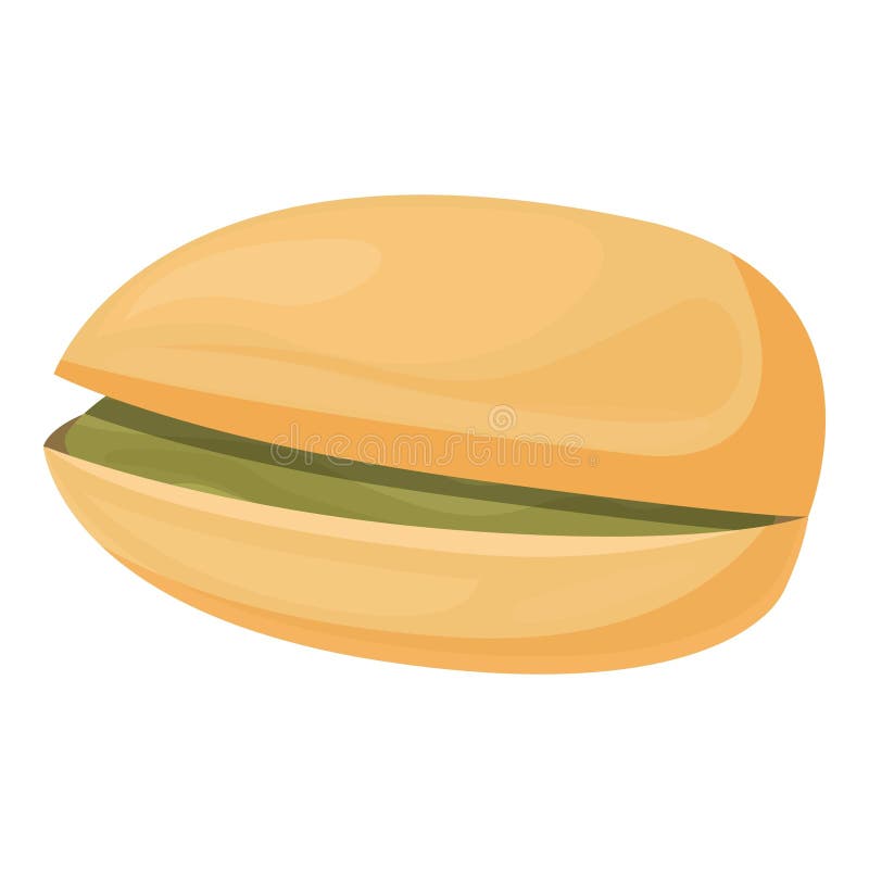 Single Pistachio Nut Shell Open Showing Seed Stock Vector ...