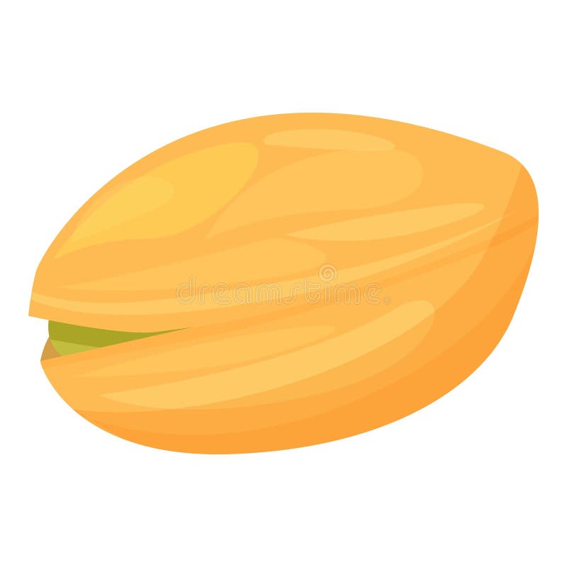 Single Pistachio Nut Shell Showing Delicious Green Inside Stock Vector ...