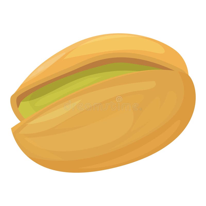 Single Pistachio Nut Showing Seed Inside Shell Stock Vector ...