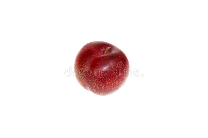 Single plum stock photo. Image of plum, round, juicy, sweet - 53984