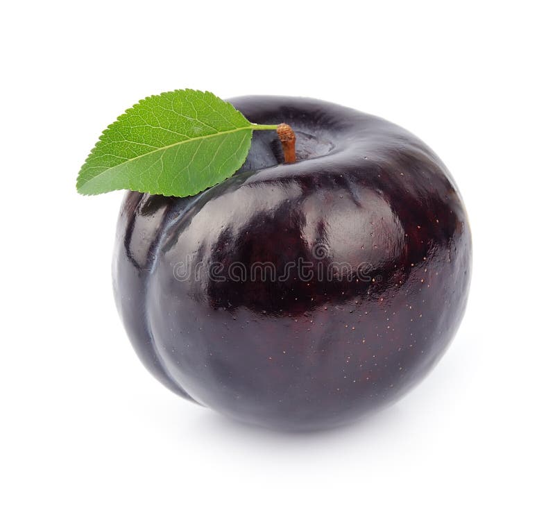 Single plum close up stock photo. Image of organic, medicine - 30700364