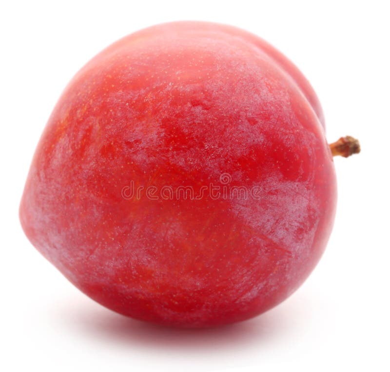 Single plum stock image. Image of healthy, victoria - 101364291