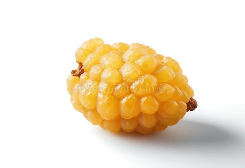 A Single Plump Raisin in Stunning Detail Stock Illustration ...