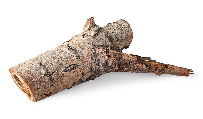 Single Log Wood Horizontally Photos - Free & Royalty-Free Stock Photos ...