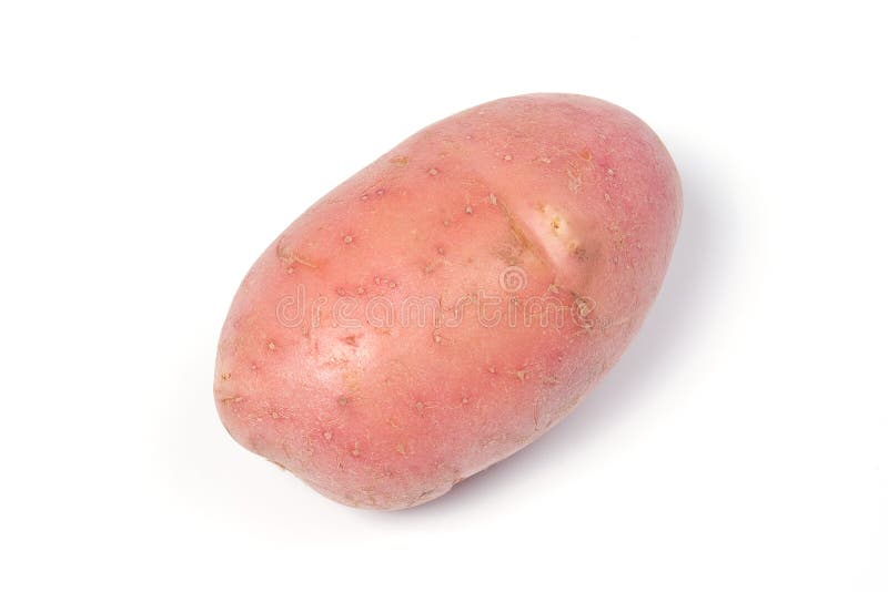 Single potato stock image. Image of potato, vegetarian - 11186681