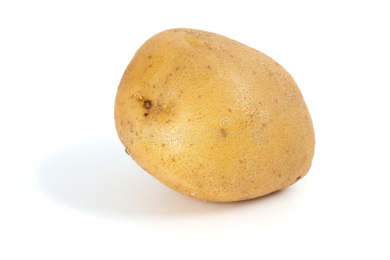Potato stock photo. Image of brown, maharashtra, tender - 33640544