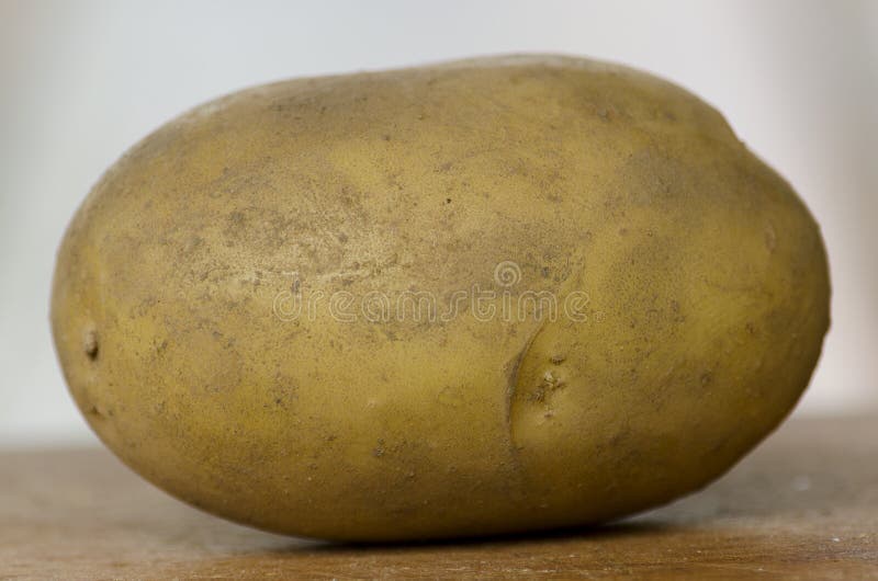 A Single Potato On A White Background. An Uncooked And Brown Potato ...