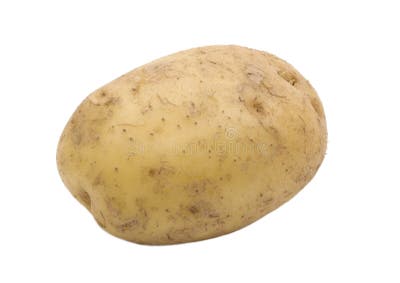Single potato isolated stock image. Image of nutrition - 7831749