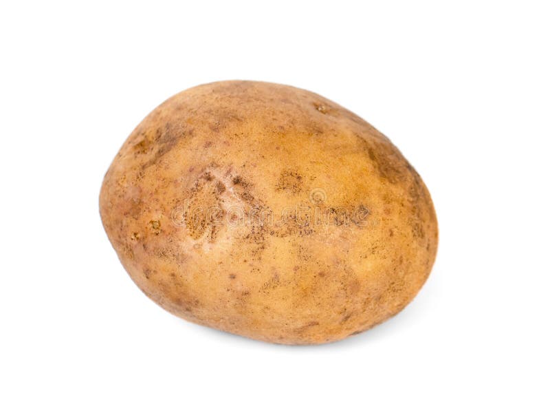 Single Potato Isolated On White Background. Vegetable Stock Image ...