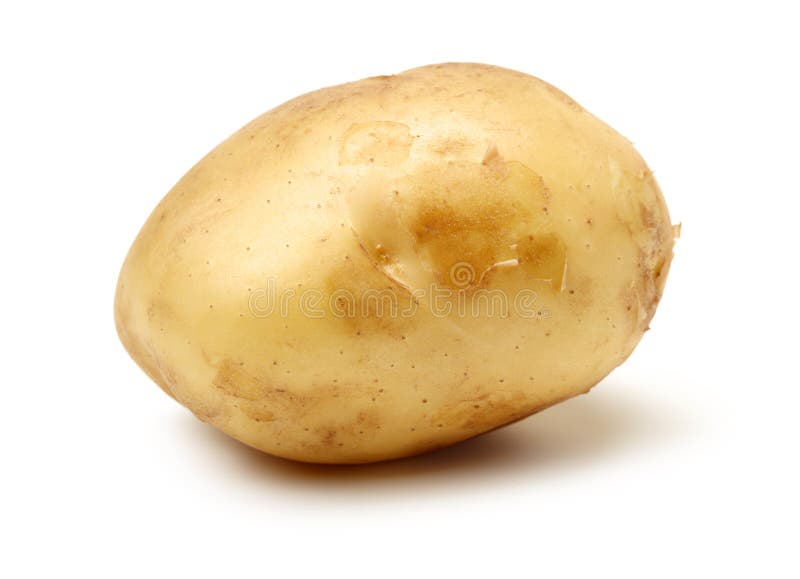 Raw potato isolated stock image. Image of vegetable, vegan - 13449585