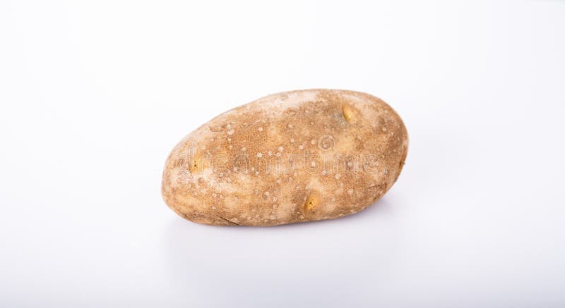 Single Potato on White Counter Stock Image - Image of healthy, organic ...