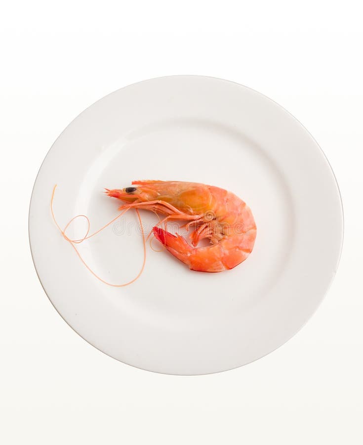 Single Prawn on plate stock image. Image of boiled, tail - 2354225