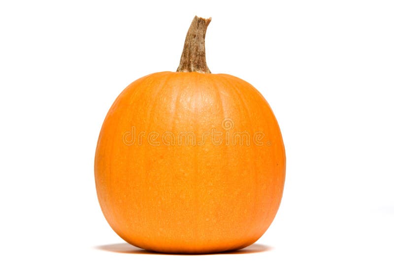 Single Pumpkin stock photo. Image of fruit, gourds, studio - 11290626