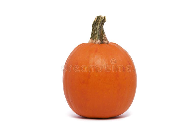 Single Pumpkin stock photo. Image of holiday, nature - 16848436