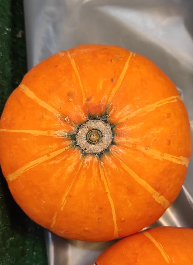 The Single Pumpkin of Halloween Stock Photo - Image of single, orange ...