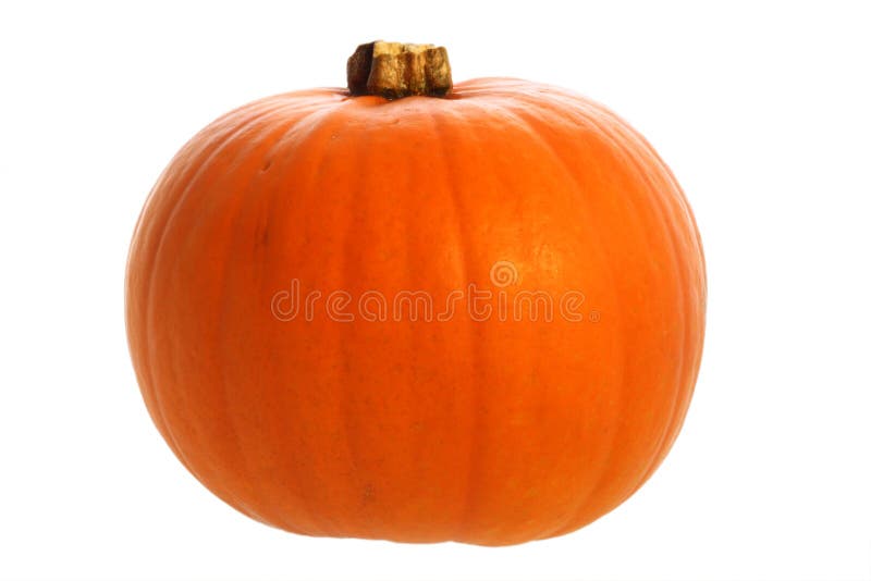 Single Pumpkin For Halloween Picture. Image: 6363013