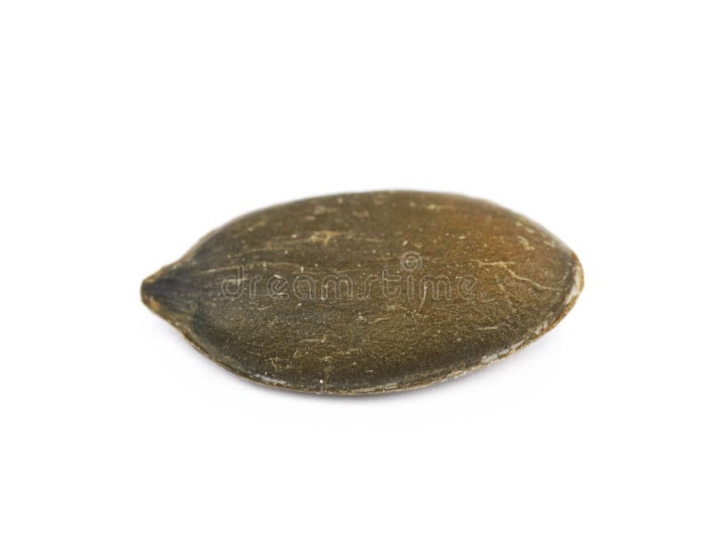 Single Pumpkin Seed Isolated Stock Image - Image of background, salad ...