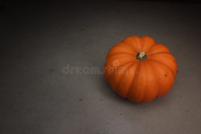 Single pumpkin stock photo. Image of halloween, october - 128950976