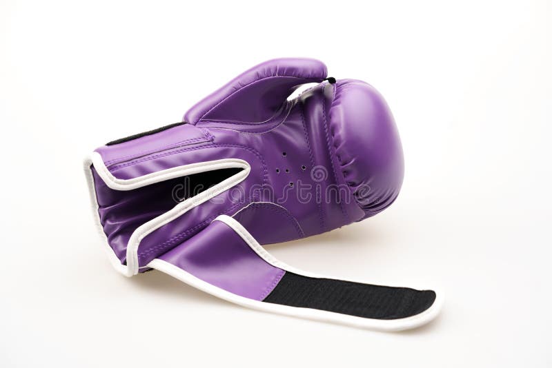 Single Purple Boxing Glove Isolated White Background Stock Photos ...