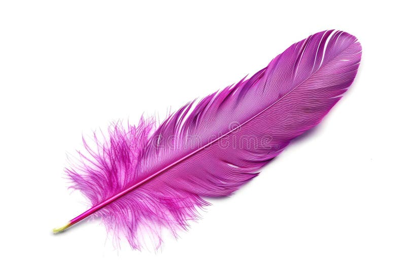 A Single Purple Feather on a Plain White Background. Ideal for Design ...