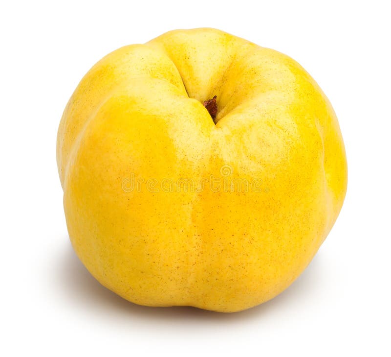 Tea stock photo. Image of transparent, bright, herb, tasty - 21451224