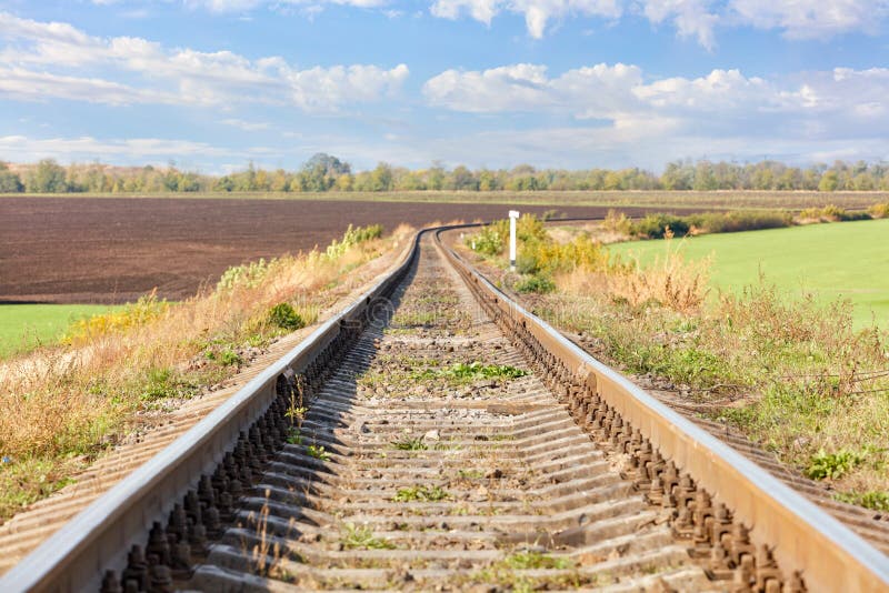 Railroad and fields stock photo. Image of yellow, rail - 9099986