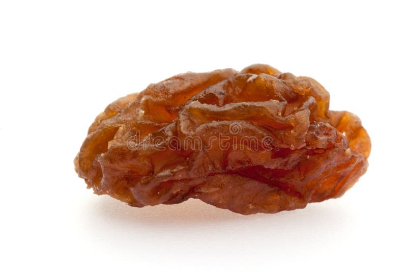 Single raisin on white stock image. Image of sultana - 25947707