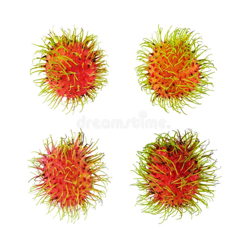 Single Rambutan Fruit Isolated on White Stock Photo - Image of shell ...