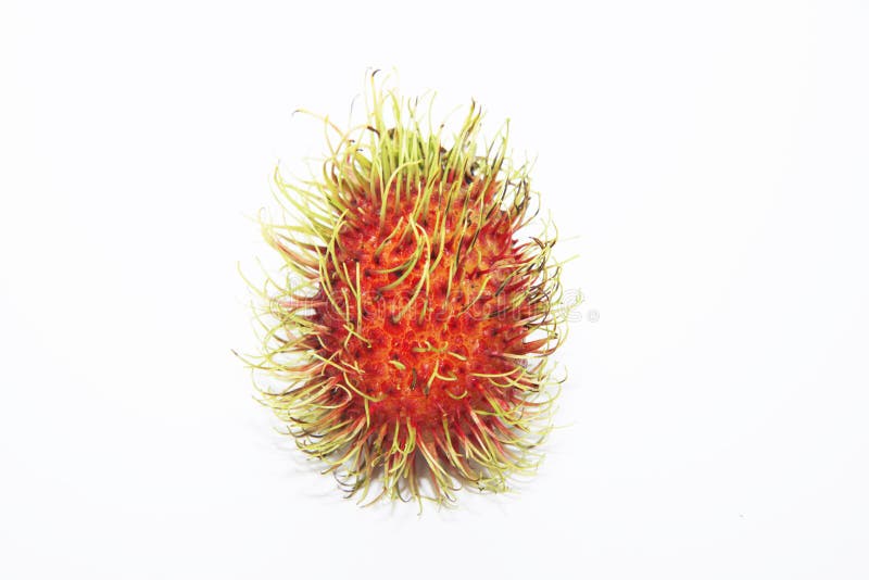 Single Rambutan Fruit Isolated on White Stock Photo - Image of shell ...