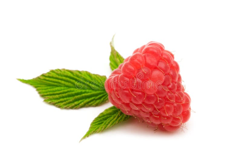 Single Raspberry