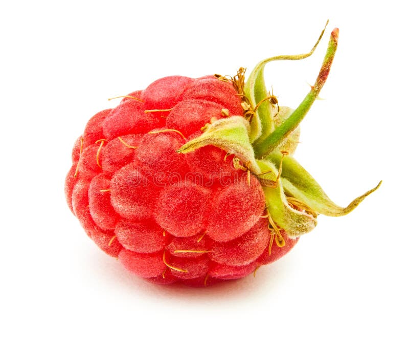 Raspberry stock photo. Image of juicy, healthy, antioxidant - 74138854