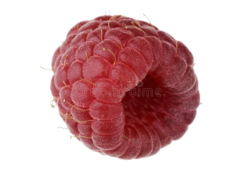 8,874 Single Raspberry Stock Photos - Free & Royalty-Free Stock Photos ...