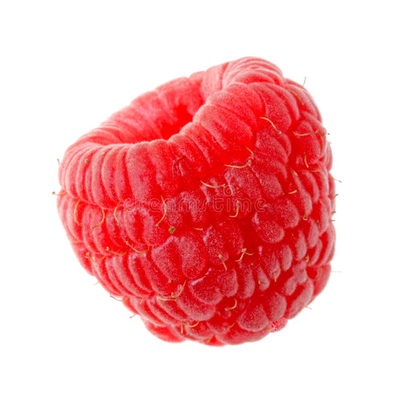 9,963 Single Raspberry Stock Photos - Free & Royalty-Free Stock Photos ...