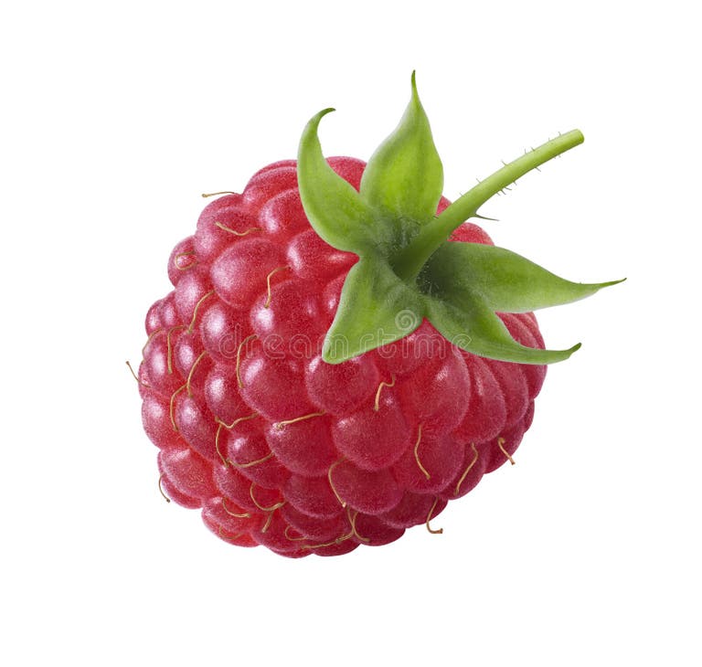 Single Raspberry Berry As Package Design Element Stock Image - Image of ...