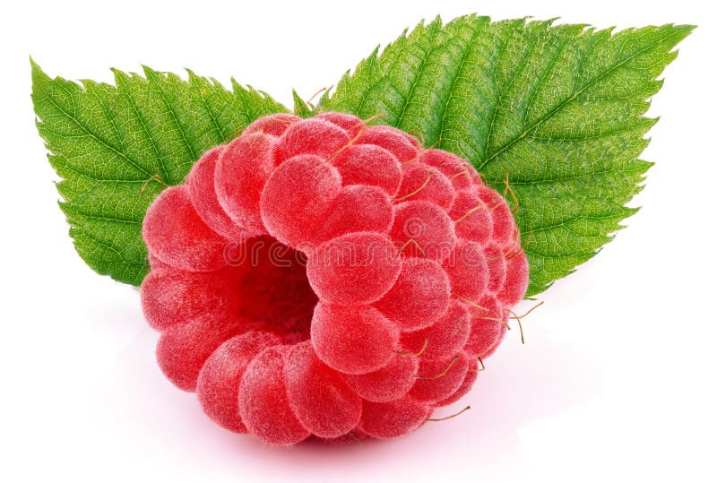 Single Raspberry Fruit with Green Leaves Isolated on White Stock Photo ...
