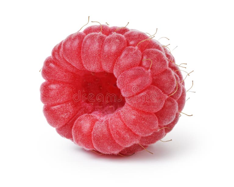Single Raspberry High Detailed Stock Photo - Image of summer, isolated ...