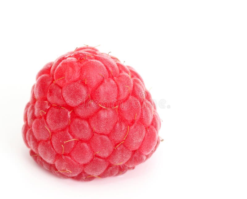 Single Raspberry Isolated on White Background. Stock Photo - Image of ...