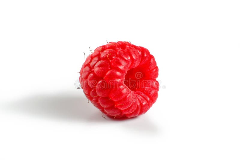 Single Raspberry Isolated on White Background. Stock Photo - Image of ...