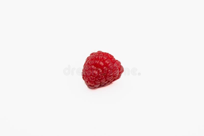 Single Raspberry Isolated on White Background - Fresh and Vibrant Stock ...