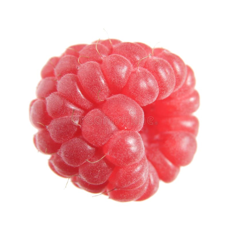 Raspberry stock image. Image of juicy, isolated, fresh - 20108115